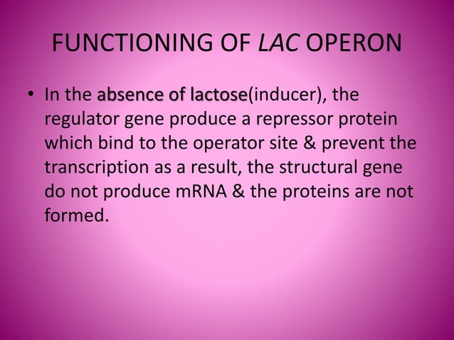 The Lac operon | PPTX