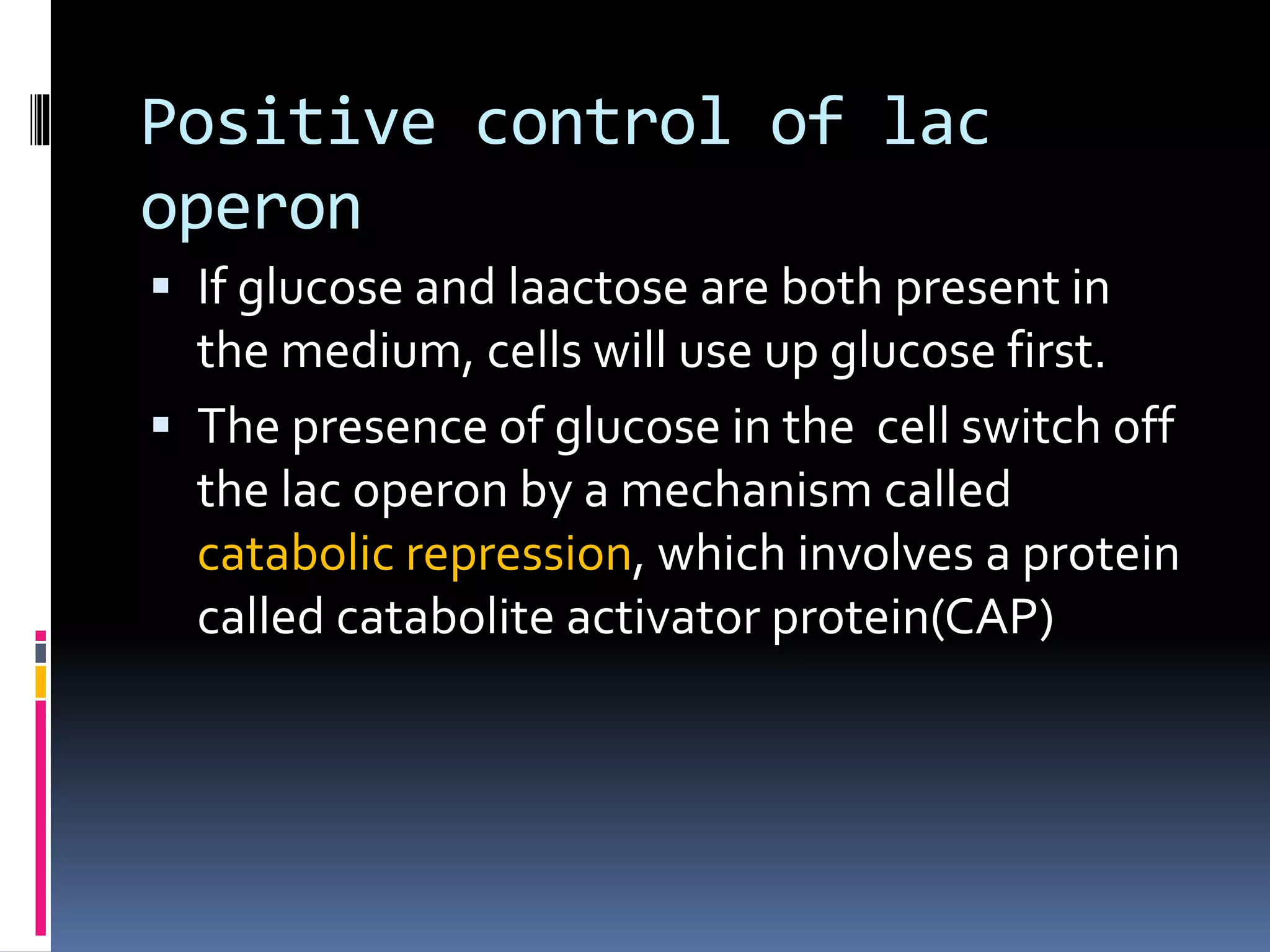 Lac operon | PPTX