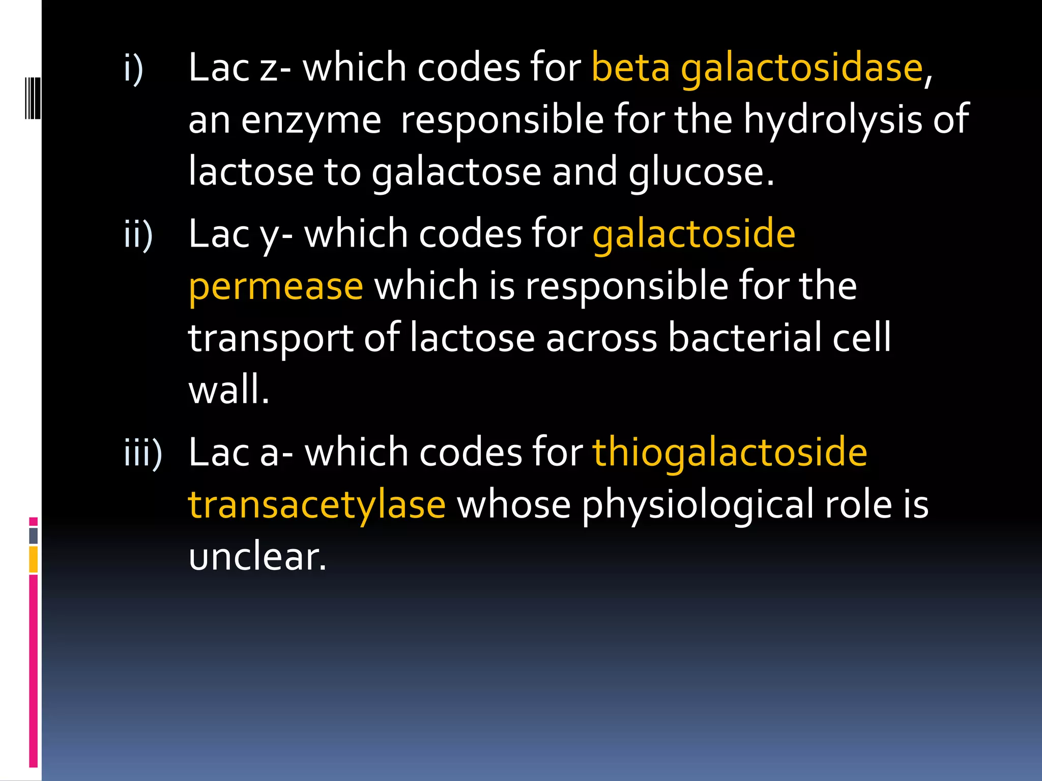 Lac operon | PPTX