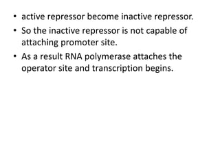 Lac operon | PPTX
