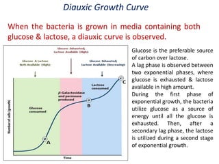 Lac operon | PPT