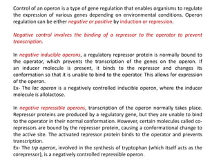 Lac operon | PPT