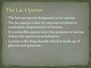 Lac operon | PPTX