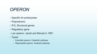 Operon | PPT
