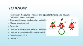 Operon | PPT
