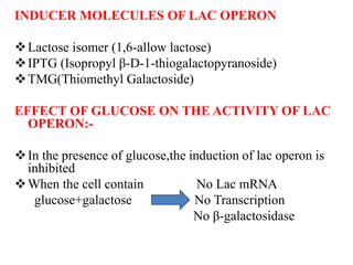 Lactose operon/metabolism of lactose in E.Coli