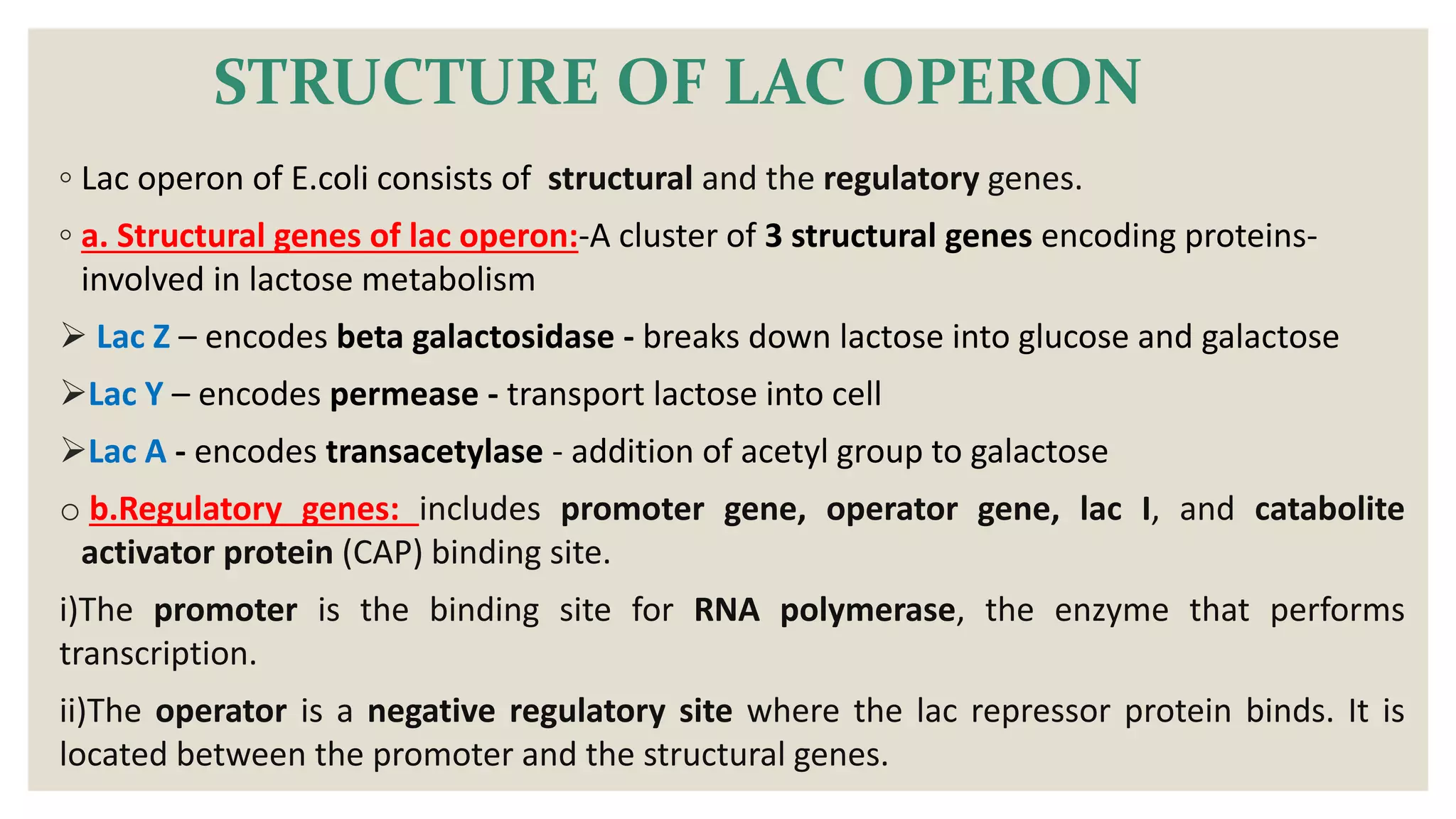 LAC OPERON.pptx