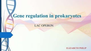 LAC OPERON.pptx
