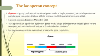LAC OPERON.pptx
