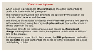 LAC OPERON.pptx