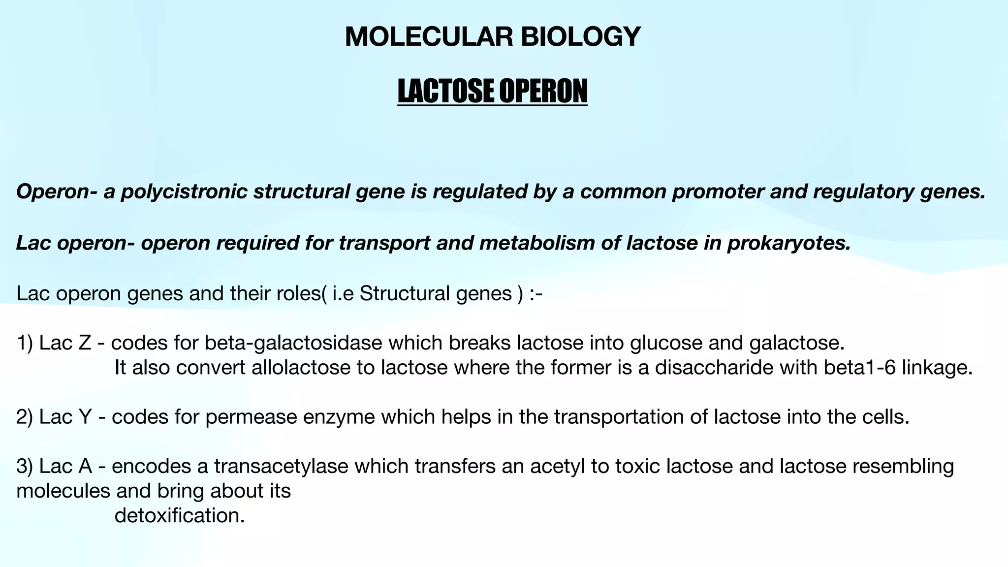 Lac Operon.pdf