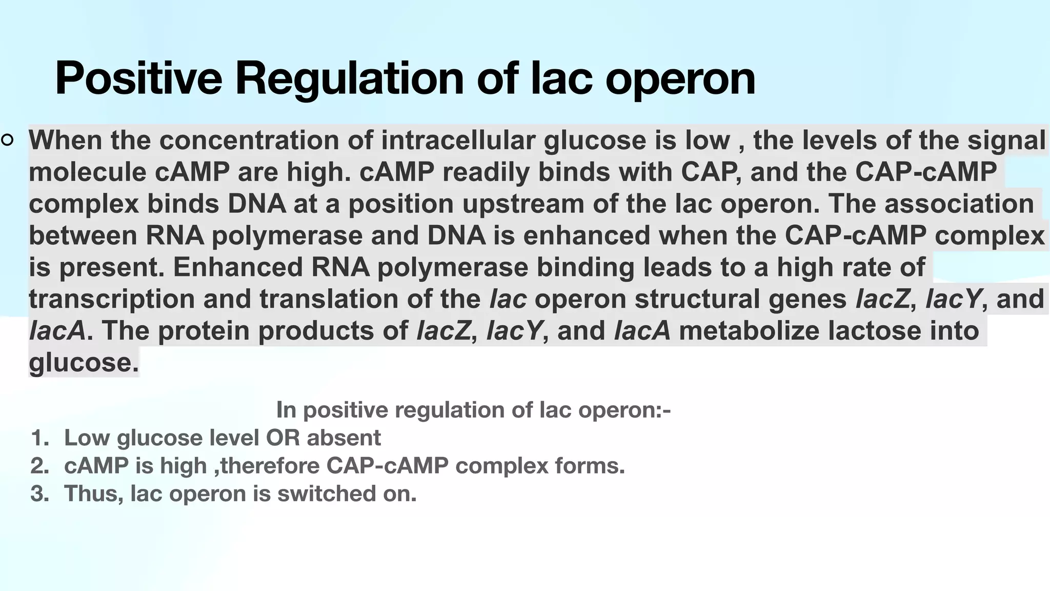 Lac Operon.pdf