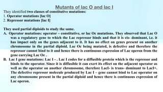Lac Operon.pdf