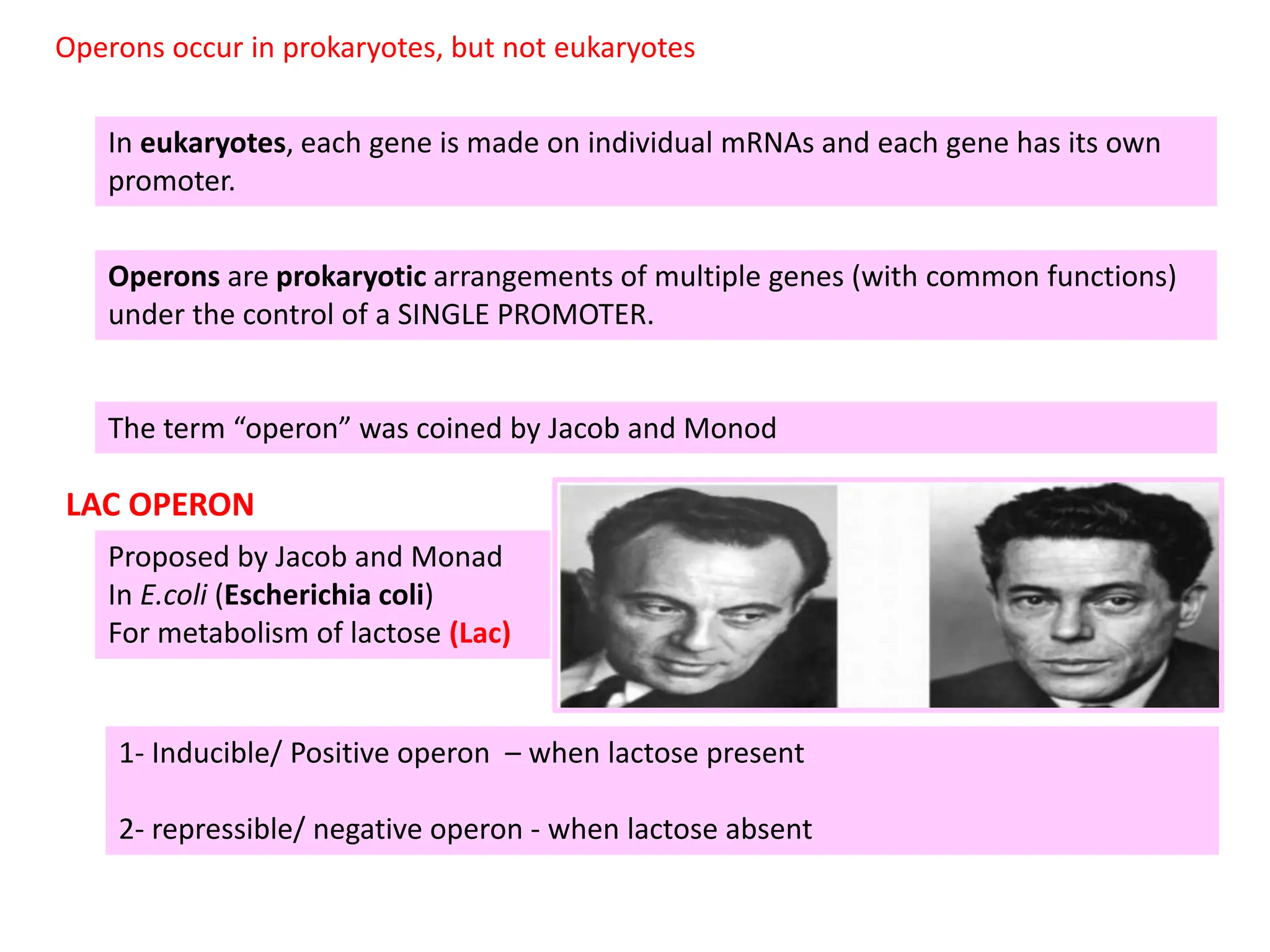 Regulation of gene expression LAC OPERON.pptx