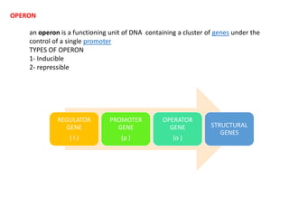Regulation of gene expression LAC OPERON.pptx