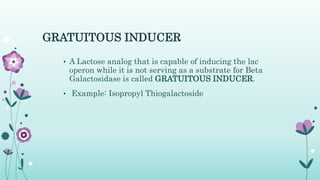 lac Operon.ppt-2.pptxThe classic example | PPT