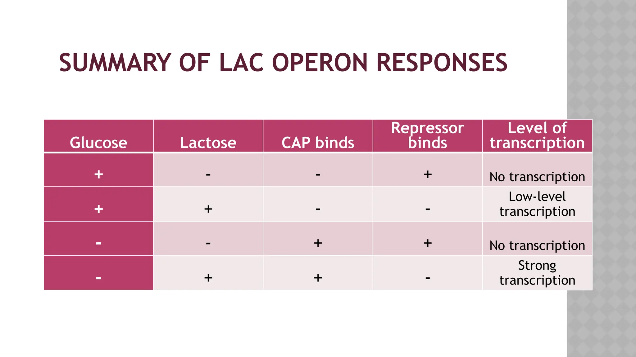 Lac Operon, Metabolic Reactions of Lactoses | PPTX