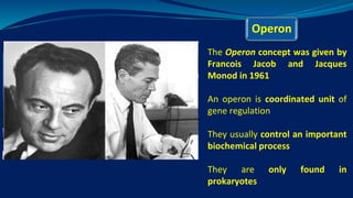Lac operon by khirood | PPT
