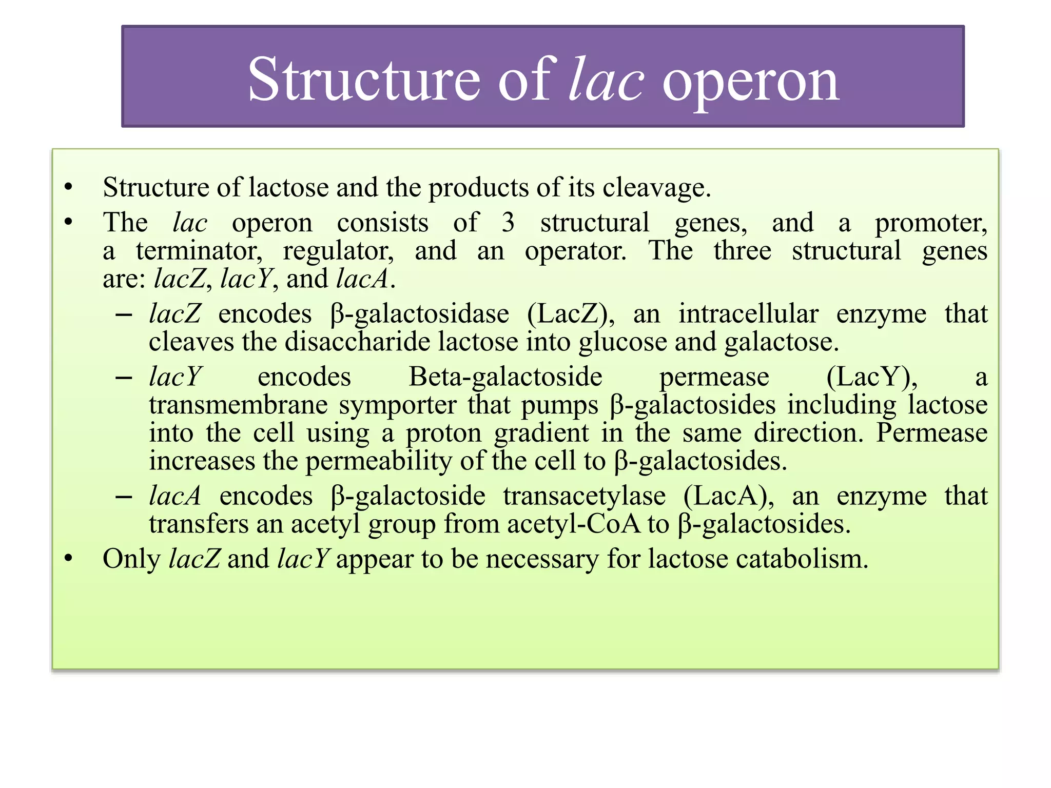 Lac operon concept | PPT