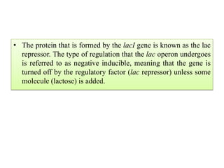 Lac operon concept | PPT