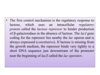 Lac operon concept | PPTX