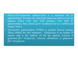Lac operon concept | PPTX