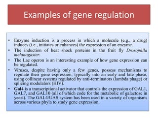 Lac operon concept | PPT