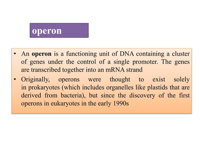 Lac operon concept | PPT