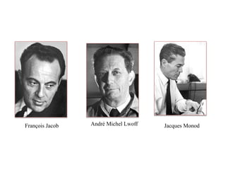 Lac operon concept | PPT