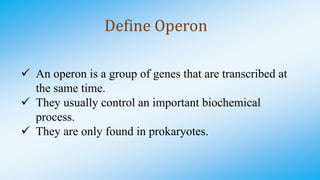Lac operon overall | PPT