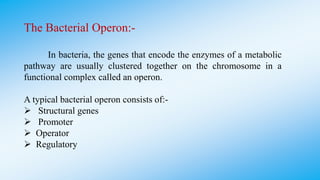 Lac operon overall | PPT