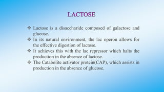 Lac operon overall | PPTX