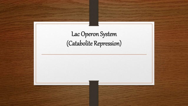 Lac Operon System(Catabolite Repression).pptx | Chemistry | Science