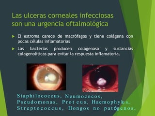 La cornea y sus alteraciones | PPTX