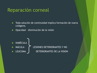 La cornea y sus alteraciones | PPTX