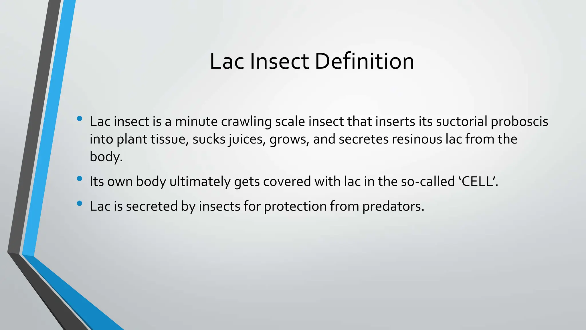 Lac based product aand its different markets for india | PPTX