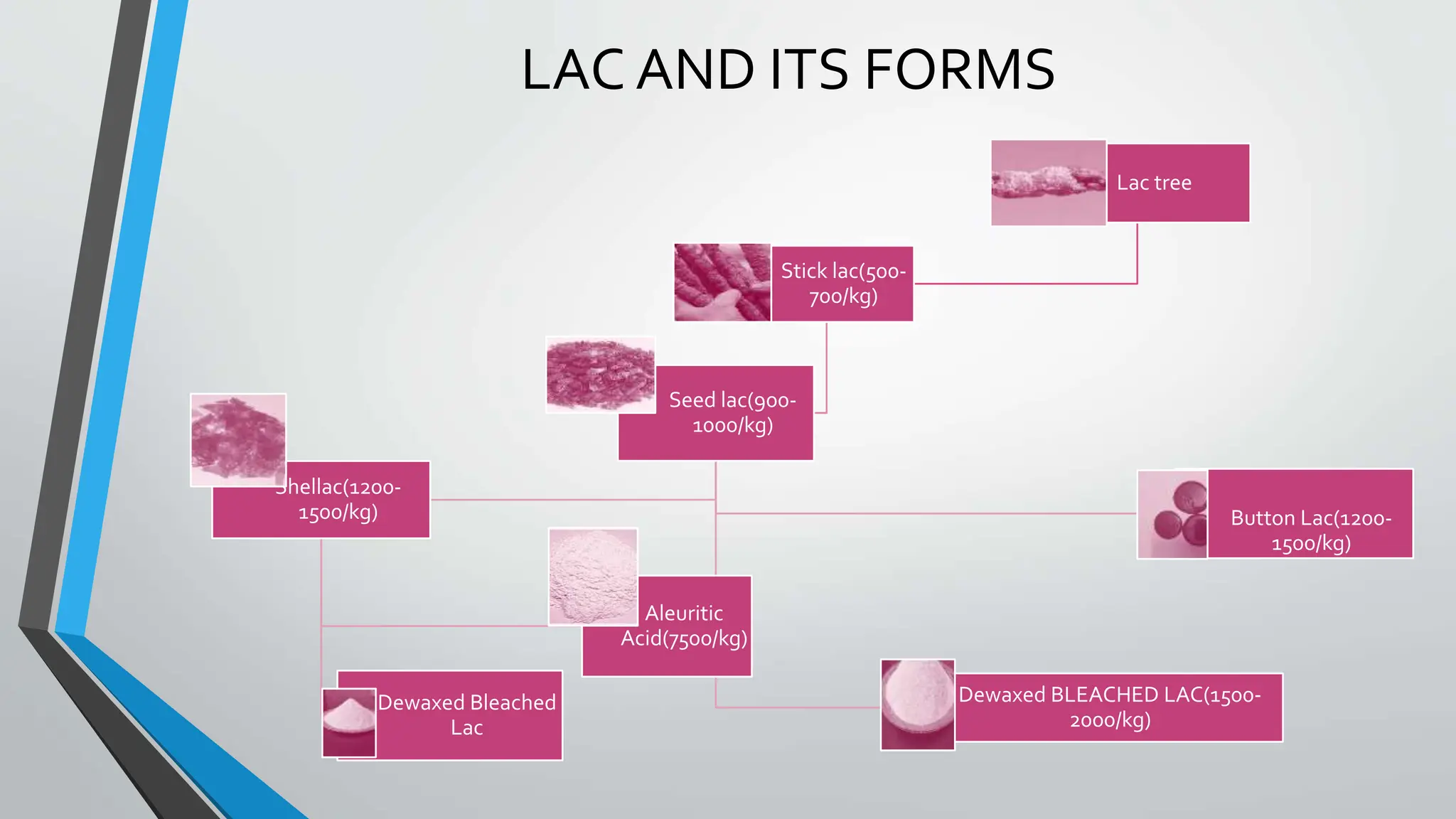 Lac based product aand its different markets for india | PPTX