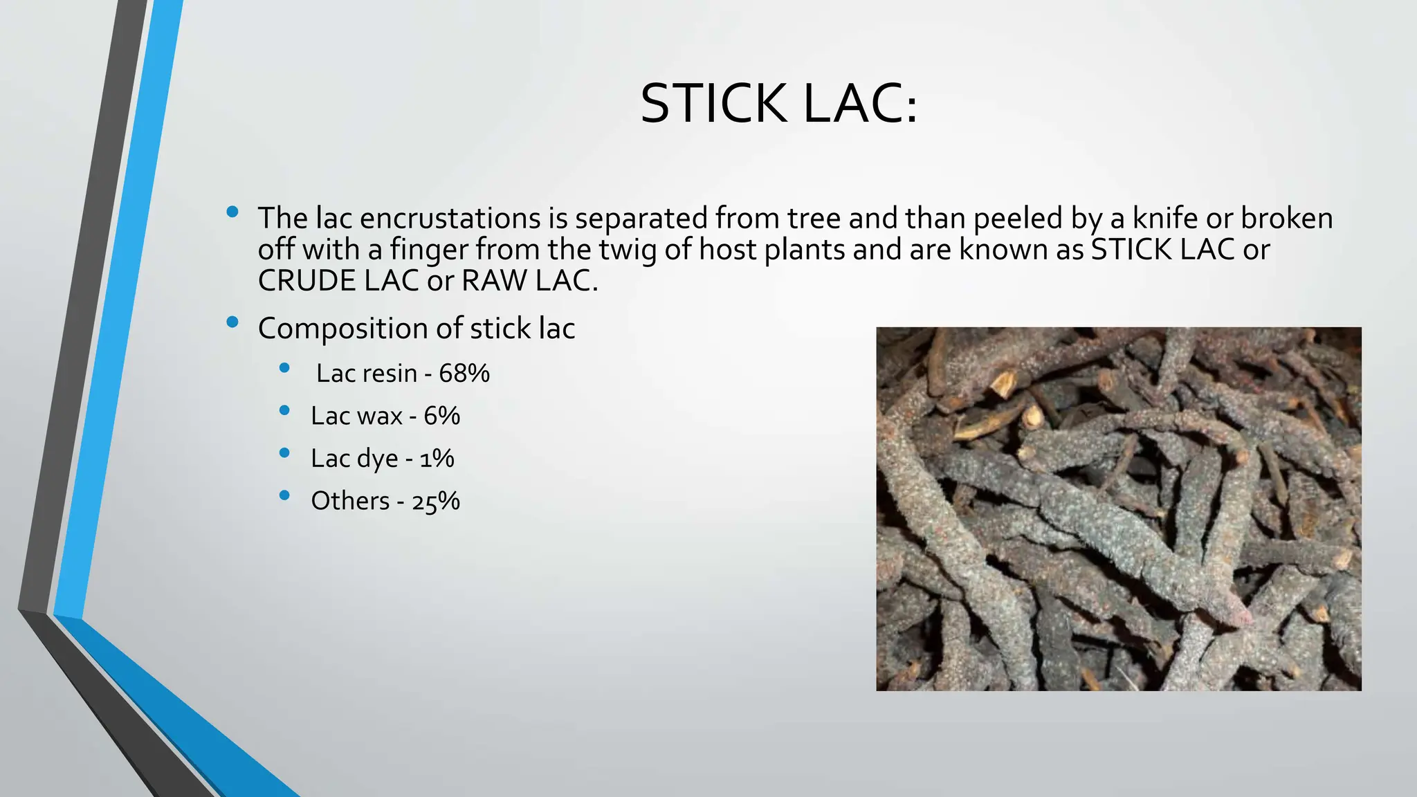 Lac based product aand its different markets for india | PPTX