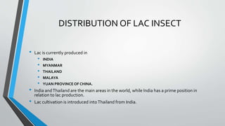 Lac based product aand its different markets for india | PPTX