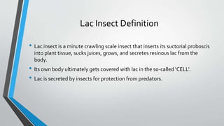 Lac based product aand its different markets for india | PPTX