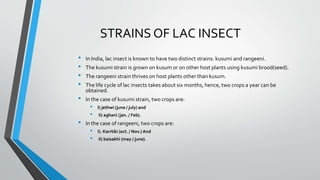 Lac based product aand its different markets for india | PPTX