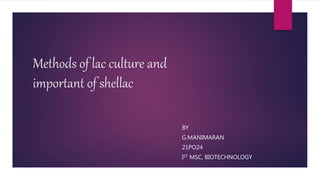 Methods of lac culture and important of shellac.pptx