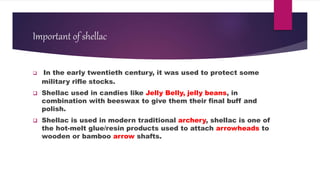 Methods of lac culture and important of shellac.pptx