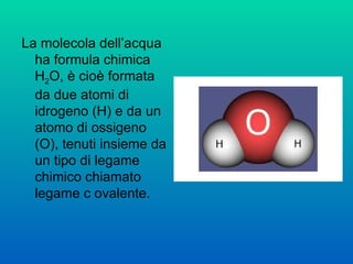 L’acqua crivaro camilla | PPT
