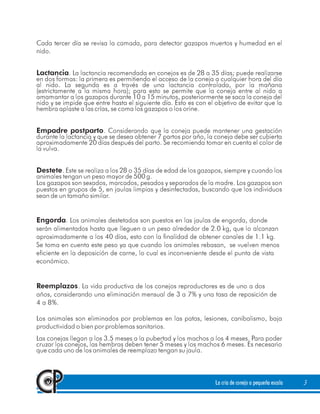 La cria de conejo | PDF
