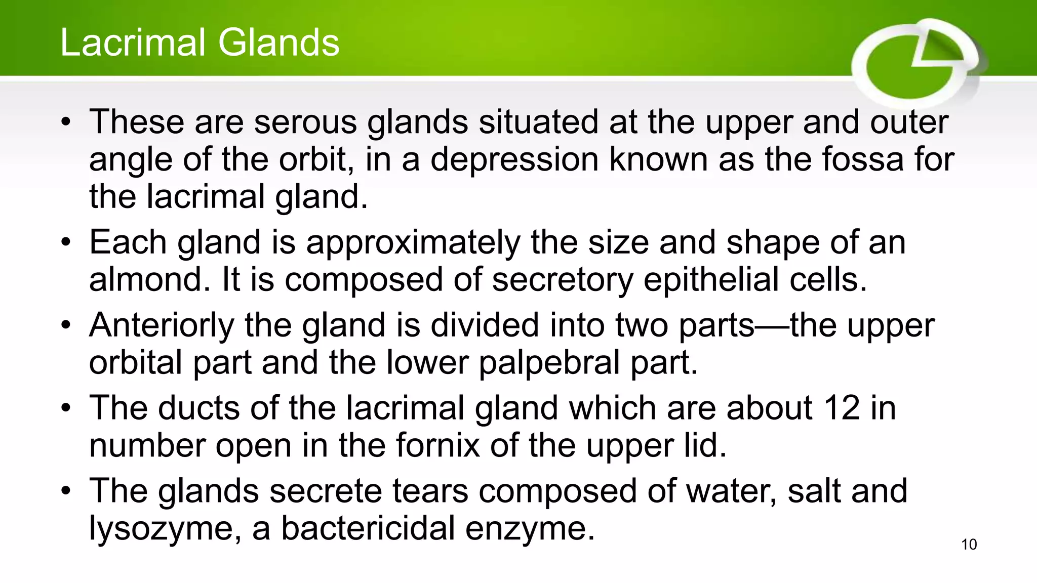 Lacrimal system ppt. | PPT