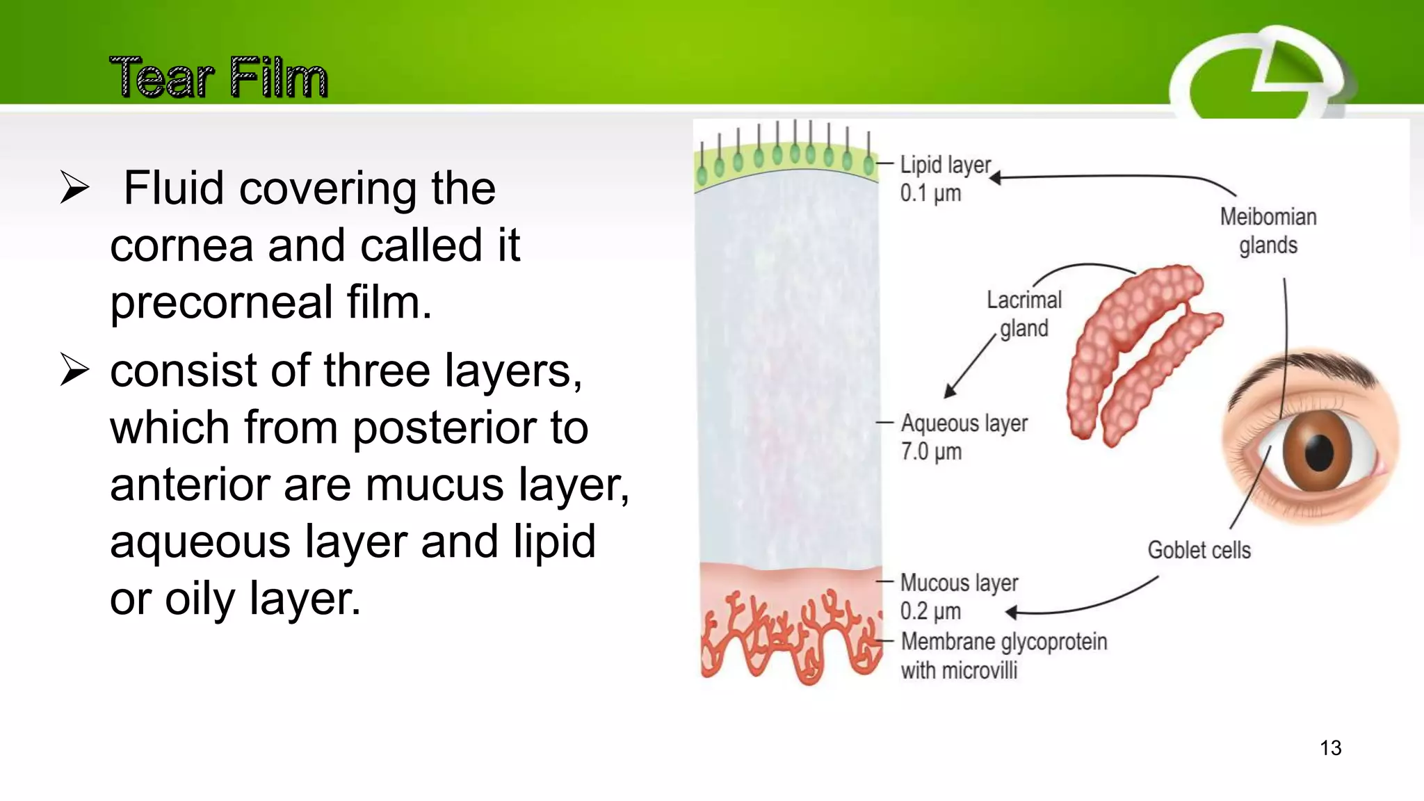 Lacrimal system ppt. | PPT