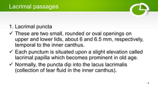 Lacrimal system ppt. | PPT