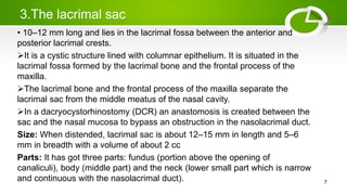 Lacrimal system ppt. | PPT