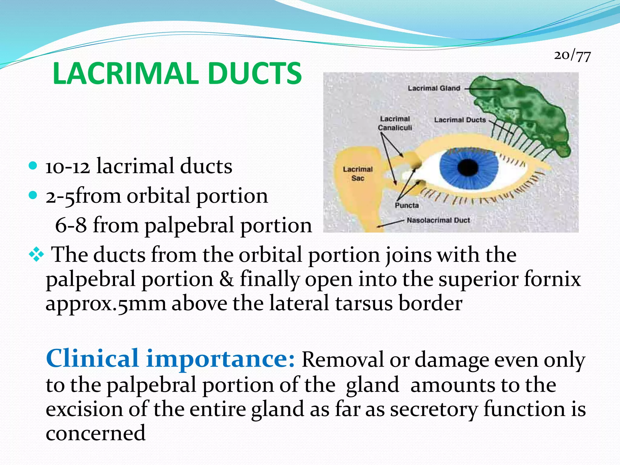 Lacrimal Apparatus: Different structure, Tear Film and Lacrimal Pump | PPTX